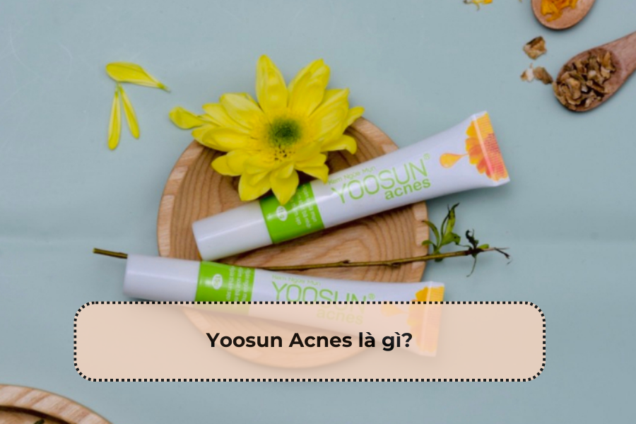 Kem ngừa mụn Yoosun Acnes có tốt không? Tìm hiểu chi tiết về hiệu quả ...